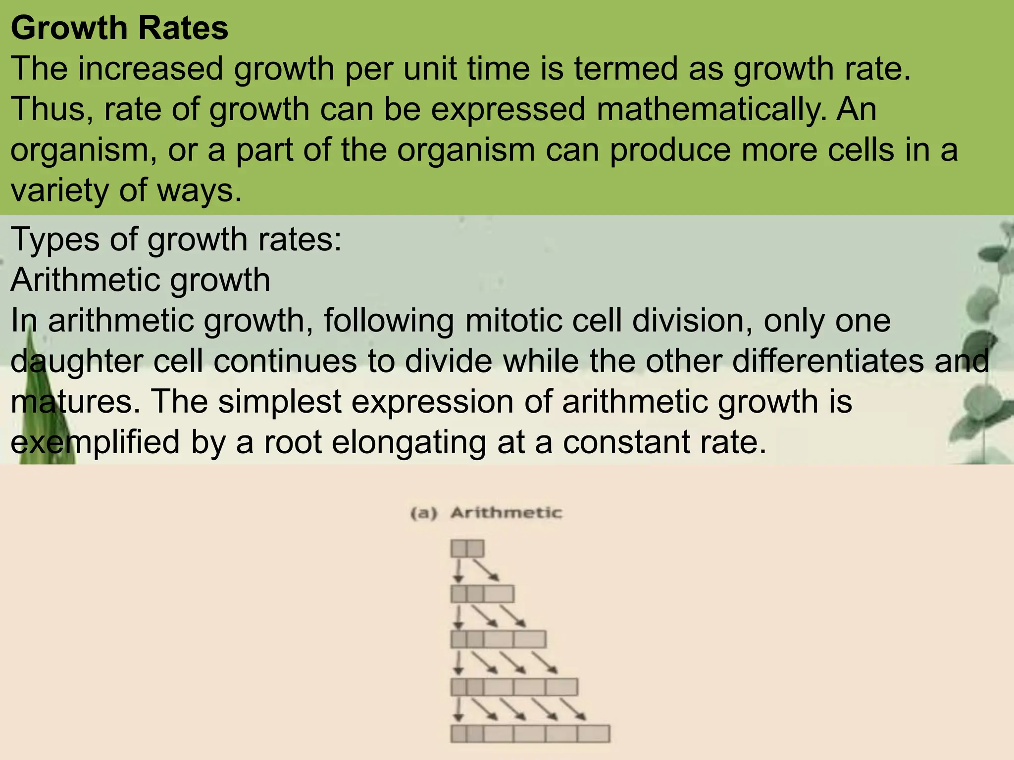 Plant-growth-and-development in general biology | PPTX