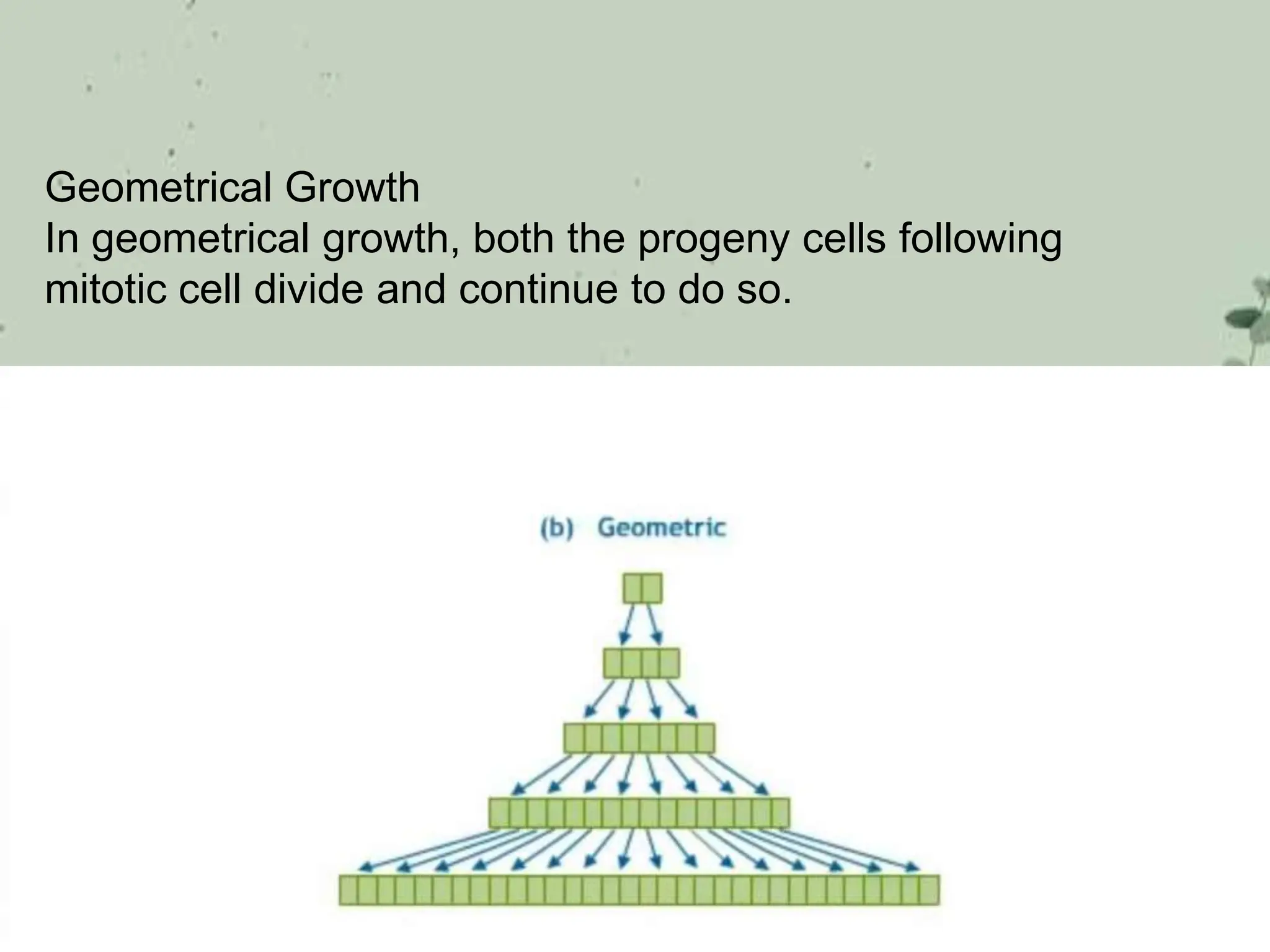 Plant-growth-and-development in general biology | PPTX