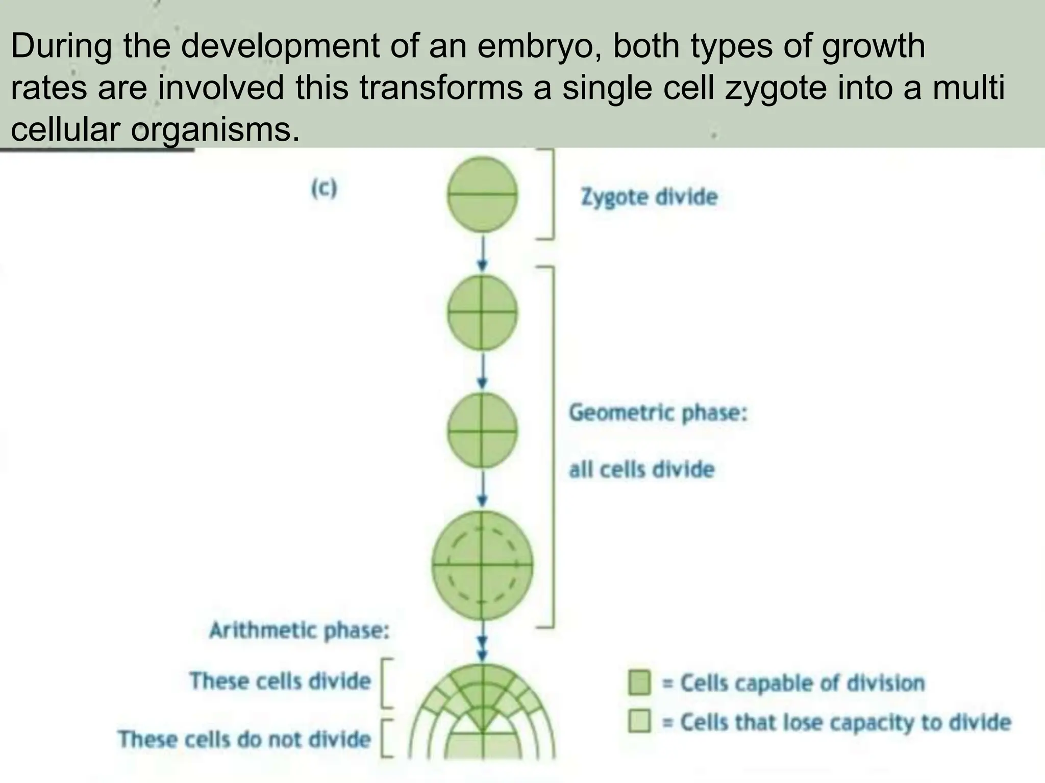 Plant-growth-and-development in general biology | PPTX