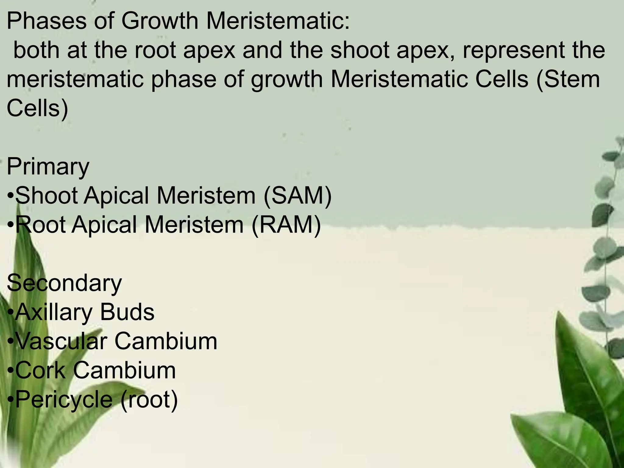 Plant-growth-and-development in general biology | PPTX