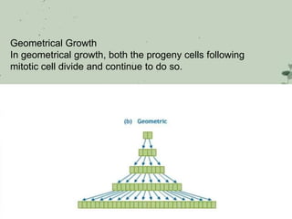 Plant-growth-and-development in general biology | PPTX