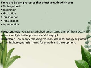 Plant-growth-and-development in general biology | PPTX | Gardening ...