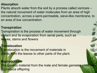 Plant-growth-and-development in general biology | PPTX