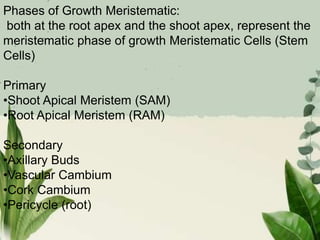 Plant-growth-and-development in general biology | PPTX