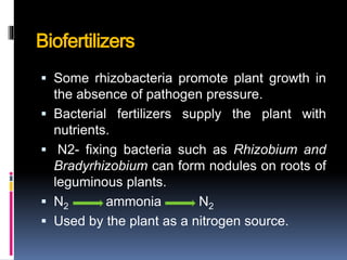 Plant growth-promoting | PPTX