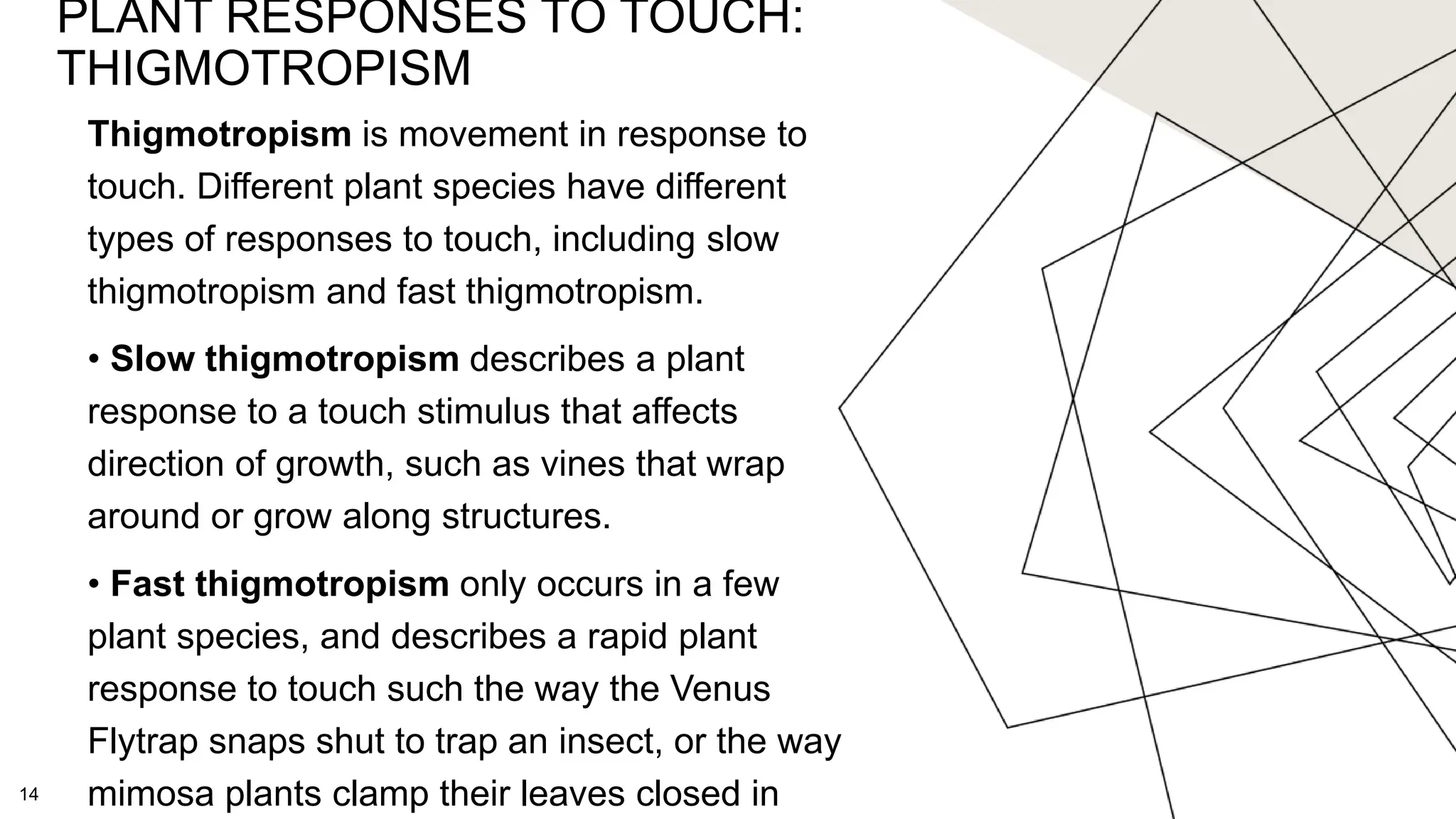 Biology 1 Plant-hormones-and-sensory-systems.pptx
