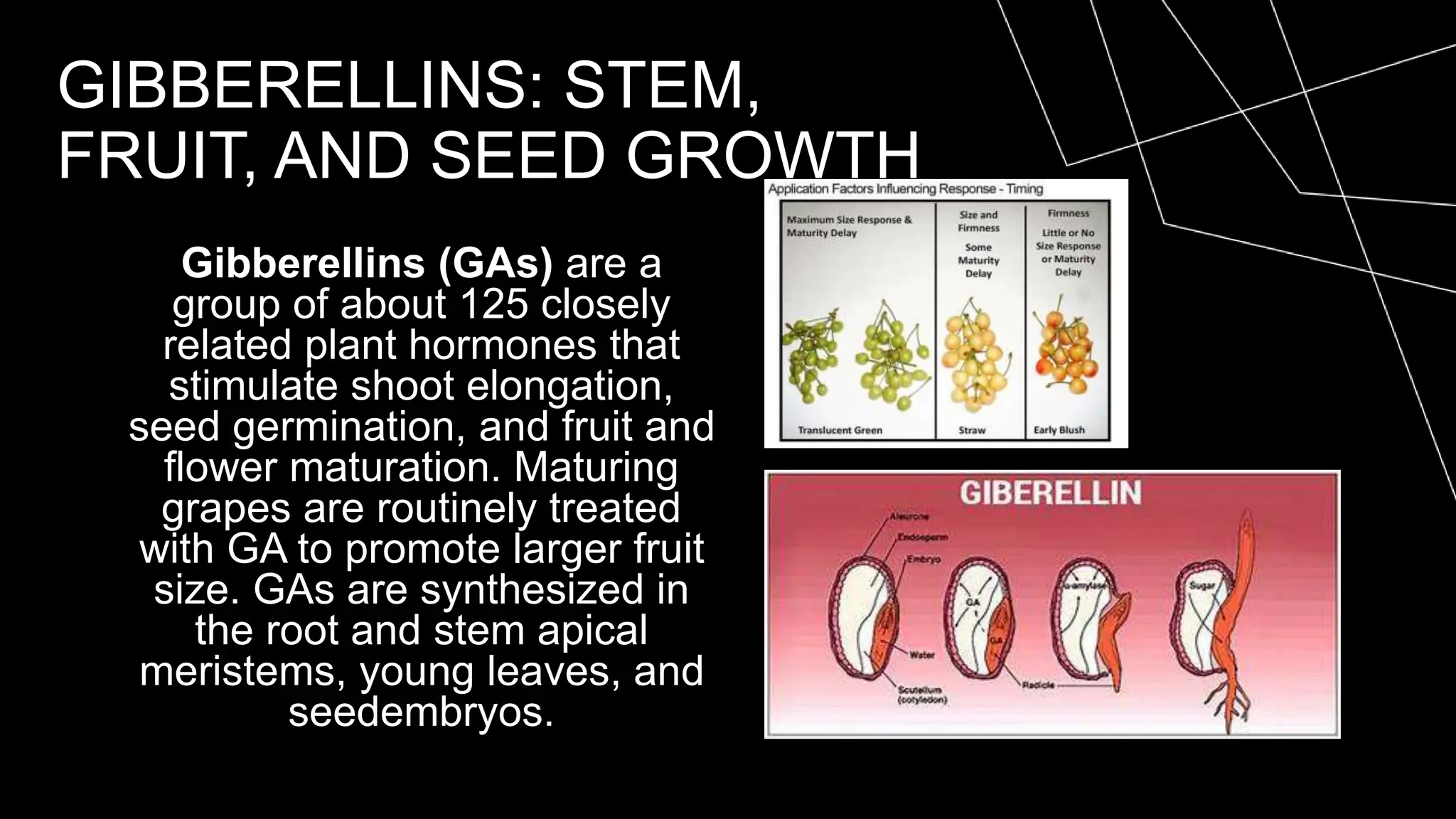 Biology 1 Plant-hormones-and-sensory-systems.pptx