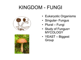 Plant Kingdom classification | PPT