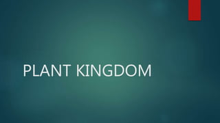 PLANT-KINGDOM-3.pptx