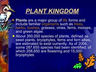 Plant Kingdom Malika | PPT