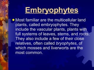 Plant Kingdom Malika | PPT