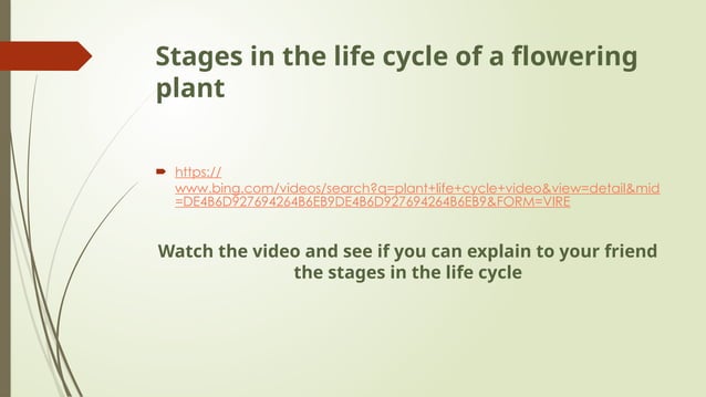 Plant-Life-cycle-pollination-wind-dispersal...pptx