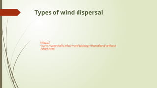 Plant-Life-cycle-pollination-wind-dispersal...pptx