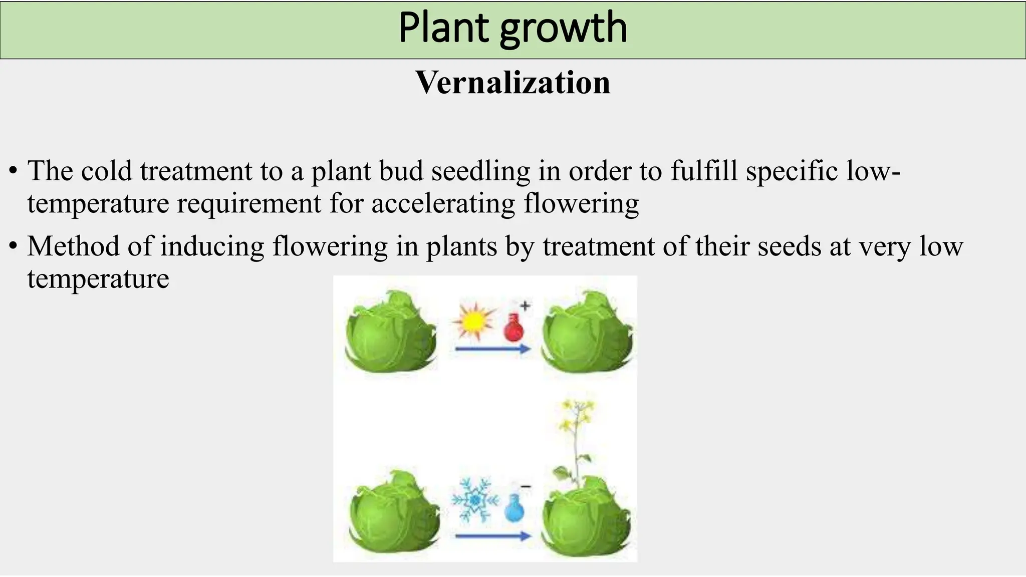Plant-movements and plant growth ug.pptx