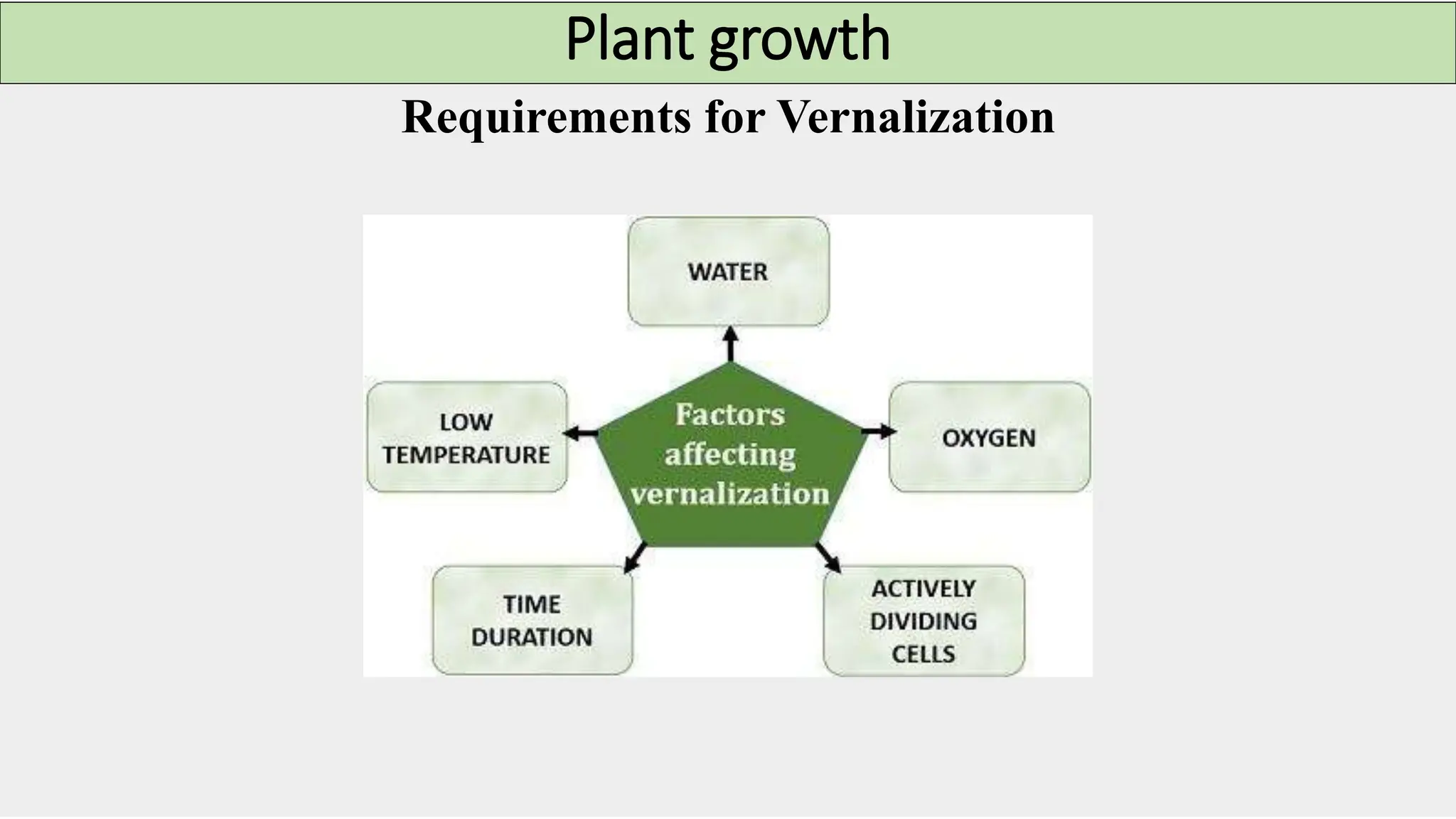 Plant-movements and plant growth ug.pptx | Gardening | Home & Garden