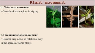 Plant-movements and plant growth ug.pptx