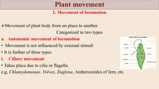 Plant-movements and plant growth ug.pptx | Gardening | Home & Garden