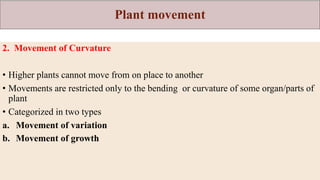 Plant-movements and plant growth ug.pptx | Gardening | Home & Garden