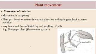 Plant-movements and plant growth ug.pptx | Gardening | Home & Garden