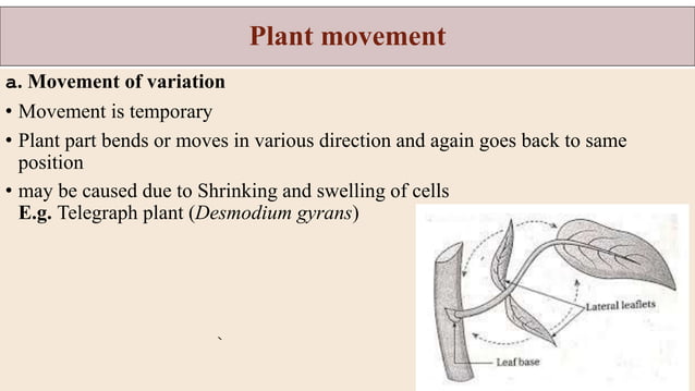 Plant-movements and plant growth ug.pptx