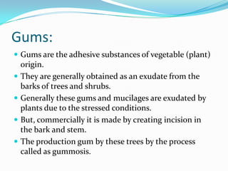 Plant mucilages,pectins,gums | PPTX