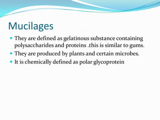 Plant mucilages,pectins,gums | PPTX