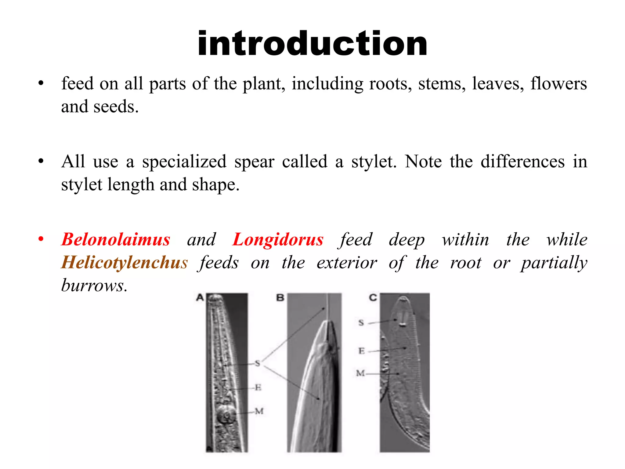 Plant nematode interactions | PPTX