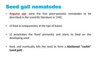 Plant nematode interactions | PPTX