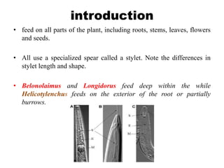 Plant nematode interactions | PPTX