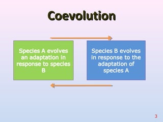 Coevolution Diagram