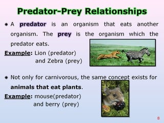 Coevolution Examples Predator And Prey