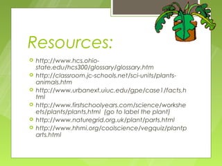 Plant parts | PPT
