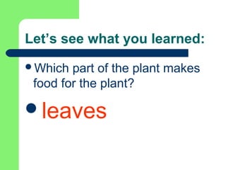 Parts of a Plant | PPT