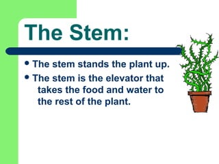 Plant parts | PPT