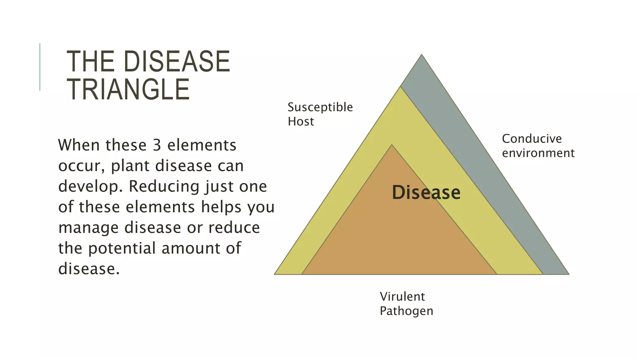 Plant-Pathology-101-Powerpoint-Part1.pptx