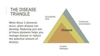 Plant-Pathology-101-Powerpoint-Part1.pptx