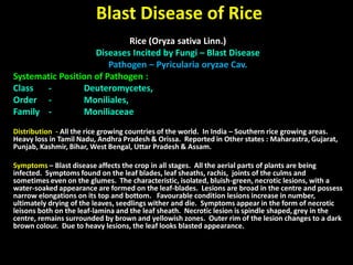 plant-pathology.pdf