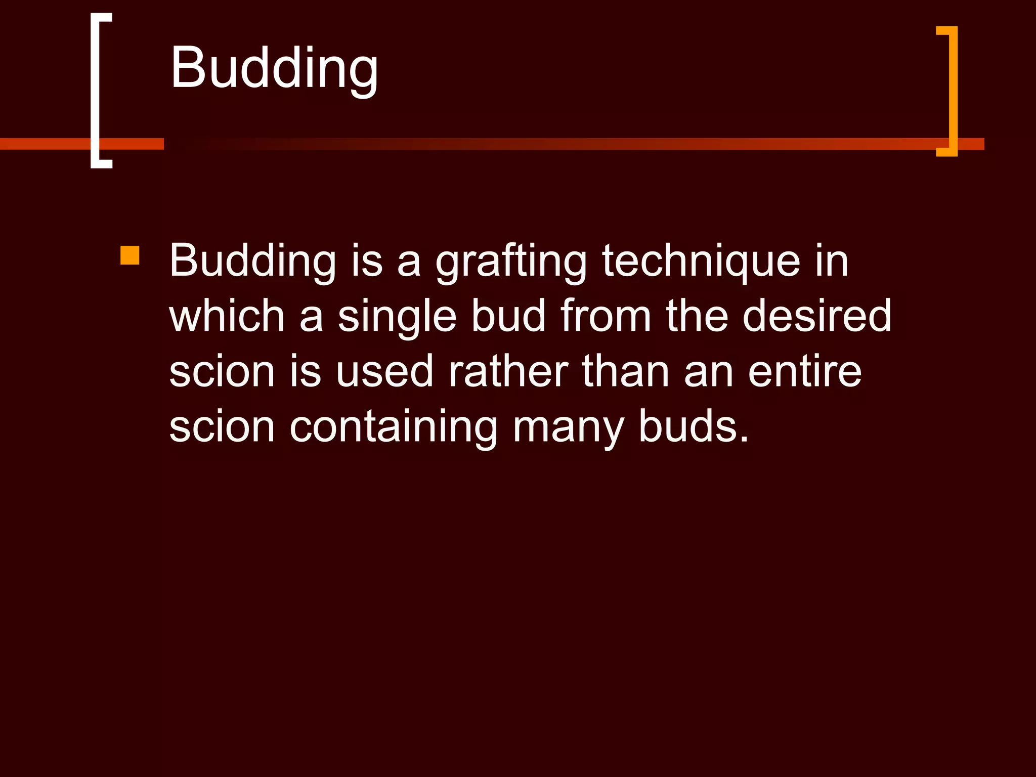 Plant propagation techniques | PPT