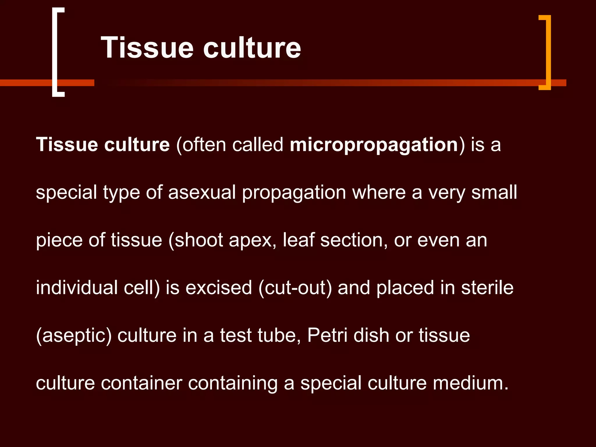 Plant propagation techniques | PPT