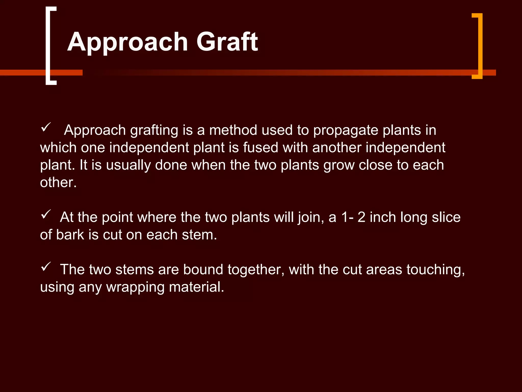 Plant propagation techniques | PPT