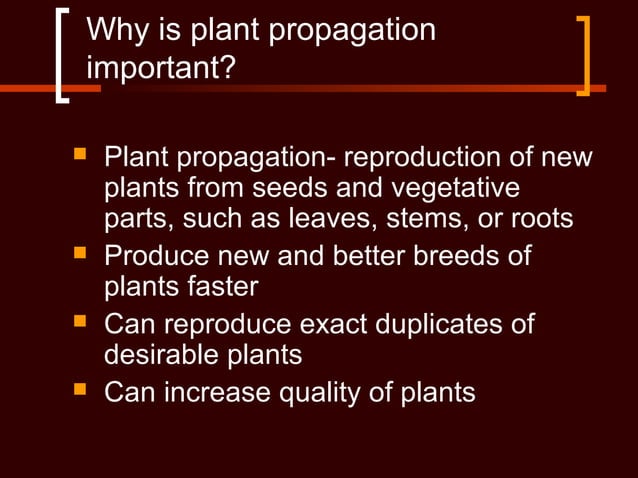 Plant propagation techniques | PPT