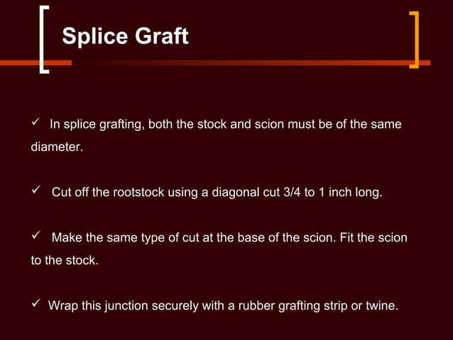 Plant propagation techniques | PPT