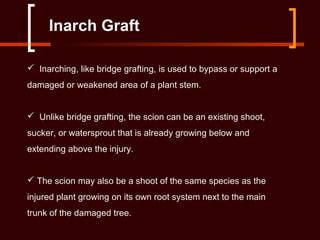 Plant propagation techniques | PPT