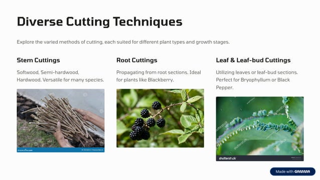 Plant-Propagation-Cutting-and-Layering.pdf