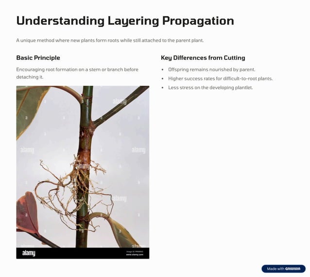 Plant-Propagation-Cutting-and-Layering.pdf