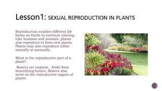 PLANT-REPRODUCTION-1 (1).pptx