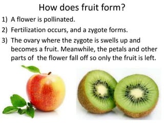 Plant reproduction | PPT