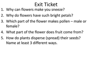 Plant reproduction | PPT