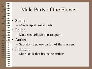 Plant Structure & Growth | PPT