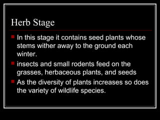 Plant succession | PPT